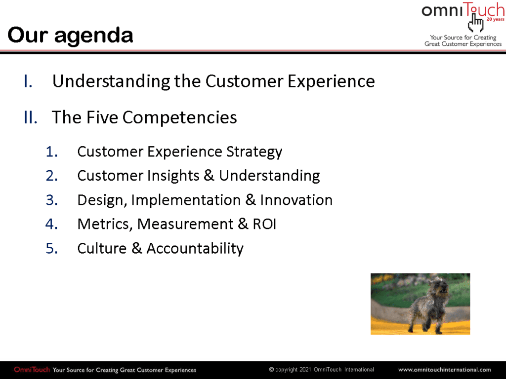CCXP Exam practice questions for Customer Experience Strategy